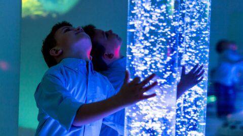 What You Should Know About Sensory Lights for Autism - Amaze ABA Therapy